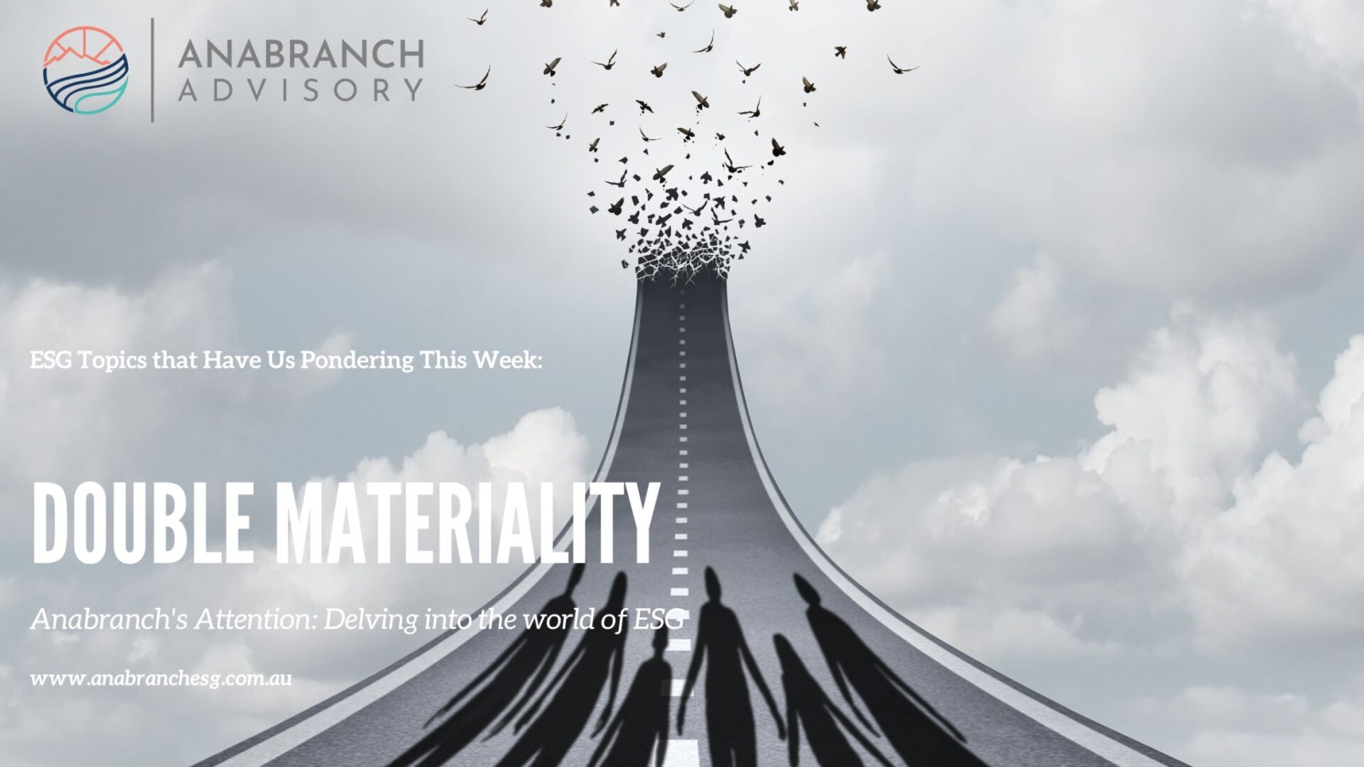 Double Materiality - Anabranch ESG Advisory