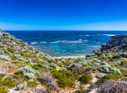 Anabranch ESG Advisory - Home